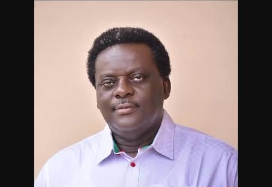 Complete List Of Anambra State House of Assembly Members | Nigerian Leaders